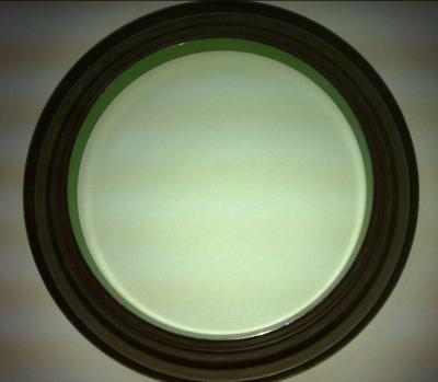 China Truck Shaft Seal A1205E1955 for sale