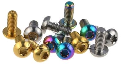 China Titanium Alloy Bolt/Screw for sale