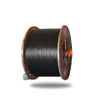China 12 Core Fiber Optic Patch Cable 5dBi Gain Braid Shielded Custom Length OEM for sale