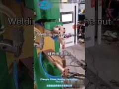 PLC Automatic Nut Feeder Machine With 260mm Bowl ISO Approved