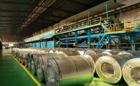China Customized Length Superior Durable Ppgl Steel Coil Building Materials for sale