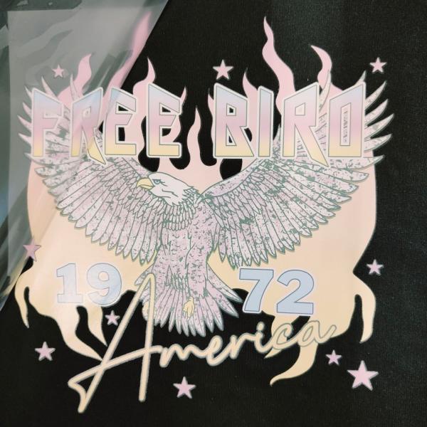 Quality Customized Screen Printed Logo Durable T Shirt Printing Transfers for sale