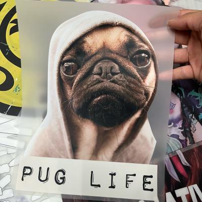 China High-Quality Ready To Press Pug Life Dog DTF Heat Transfer Stickers – Customizable Size On Durable PET Film For T-Shirt Branding & Custom Pug Design for sale