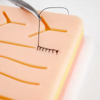 Quality Surgical Silicone Skin Suture Practice Module Premium Skin Pad for Permanent for sale