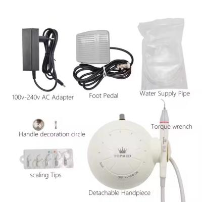 Cina Detachable Autoclavable Optical Ultrasonic Scaler Five Scaling Tips One Year Warranty in Tooth Car material Plastic in vendita
