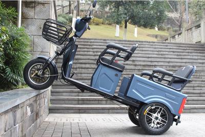 China 2 het passagiers60v 20Ah 3 Wiel gaat zitten Autoped Te koop