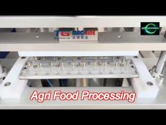 customized gummy candy production line  hard candy  agriculture food processing industry