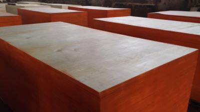 China China ACEALL High Cost-effective Non-film Faced Plywood Formwork Panels for Concrete Construction for sale