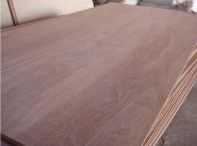 China China ACEALL 4'x8' 710 BWP Keruing Faced Marine Plywood for Indian Market for sale