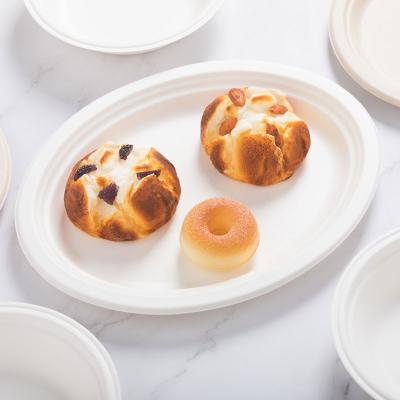 China Renewable 8in 10in Biodegradable Bagasse Tableware Plate Pfas Free Take Out Containers for sale