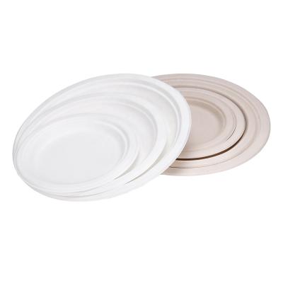 China Renewable 8in 10in Biodegradable Bagasse Tableware Plate Pfas Free Take Out Containers for sale