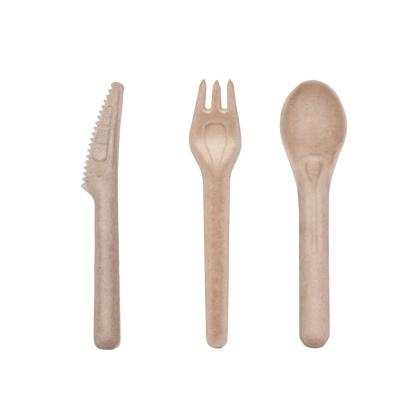 Cina Forchette e cucchiai concimabili eliminabili amichevoli della coltelleria 141.7mm di Eco della bagassa biodegradabile in vendita