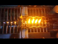  Product  Glas  Proef  Polen
