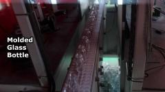 Online Inspection For Molded Glass Bottle