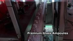 Molded Glass Bottle