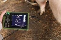 China Portable Veterinary Ultrasound Scanner for sale
