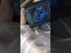 Handheld veterinary digital ultrasound scanner