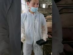 Handheld veterinary ultrasound scanner