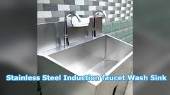 Stainless Steel Induction faucet Wash Sink for 2 people