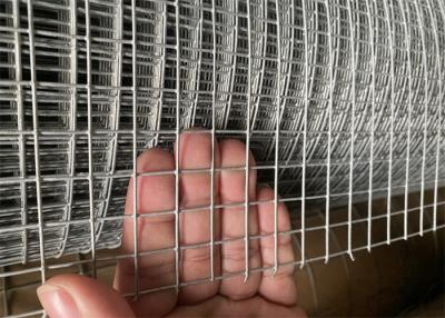 Cina Griglia galvanizzata di filo di ferro saldato con tipo di tessitura saldata diametro di filo 0,5 mm 0,9 mm in vendita