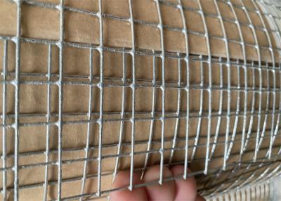 Cina 1/2 pollice quadrato Galvanizzato Welded Wire Mesh rotolo per recinzione giardino in vendita