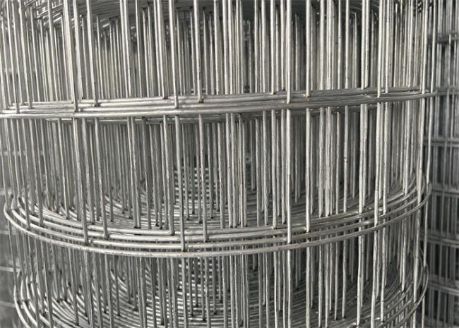 Best Seller 2"X2" Mesh Size High Quality Galvanized Welded Wire Mesh