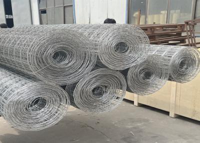Cina Nuovo prodotto Recinzione a maglia di filo saldato 4x4 11 Gauge in vendita