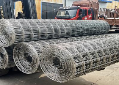 China Gegalvaniseerde gaasrol voor netten voor konijnen en kippen 30 m 50 m lengte for sale