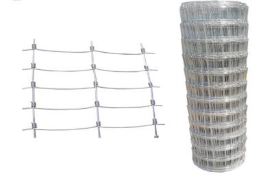 China Farm Fence / Farm Fence Post 6inch Hole Spacing Zinc Coating Fence Panels for Security 50m Length for sale