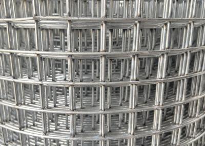 China 5x5 Welded Wire Mesh For Bird Cage Rabbit Chicken Pet Cage for sale