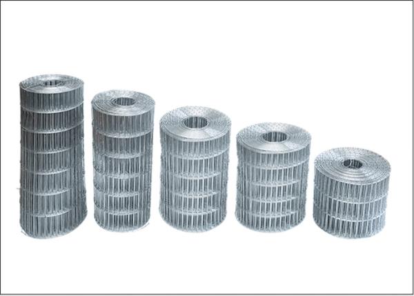 Quality Iron Galvanized Welded Wire Mesh Roll For Bird Hot dipped Zinc Coated for sale