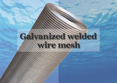 Cina 10 Gauge Galvanizzato Saldato Wire Mesh Pr per rinforzo duraturo in vendita