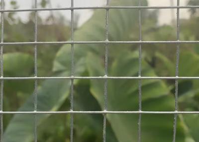 Cina 10 Gauge Galvanizzato Saldato Wire Mesh Pr per rinforzo duraturo in vendita