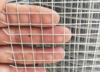 China 50M Galvanized Welded Wire Mesh Roll With Free Sample for sale