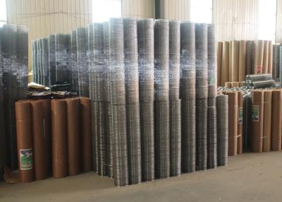 China 50x50 gelast draadnet panel en gegalvaniseerd hek draadnet Te koop