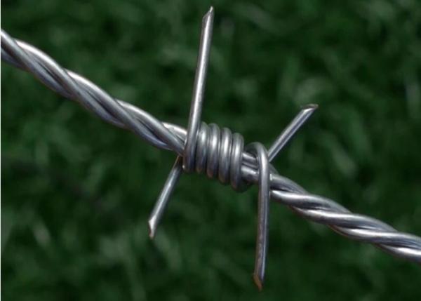 Quality Zinc Coated Barbed Wire Fence Roll 1.6-3.2mm Diameter for Fencing for sale