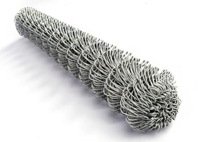Cina 1.2mm Chicken Wire Mesh Fence Industrial Commercial Residential General Purpose All Scene Applicabile in vendita