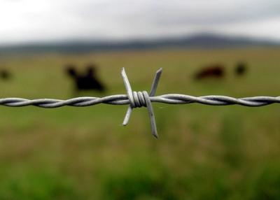China Customized Razor Barbed Wire , Electric Barbed Wire Fence ISO 9001 Certified for sale
