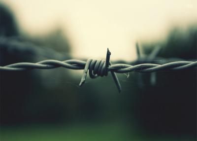 China BWG 16 Razor Barbed Wire Fence Single Electric Galvanized Reverse / Normal Twist for sale