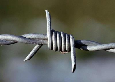 China 3 Stand Razor Barbed Wire High Security Airport Fence Barbed Wire Razor Wire for sale