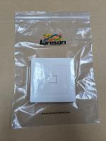 China 2 Ports Flat Faceplate RJ45 ABS Ethernet Cable Assembly 86×86 Type for sale
