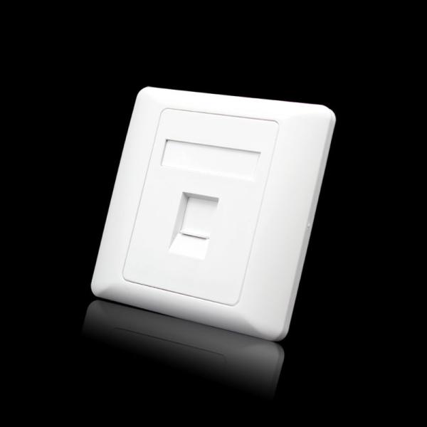 2 ABS van het havens het Vlakke Draagvlak RJ45 Type van de Kabelassemblage 86×86 van Ethernet