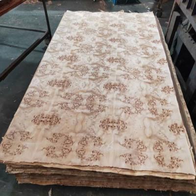Cina 8 pollici Exotic Hardwood Veneer, veneers di legno, veneer di legno burl in vendita