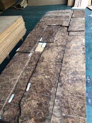 Cina Il taglio rotatorio del MDF di Burl Wood Veneer della noce del Juglans si applica al battente in vendita