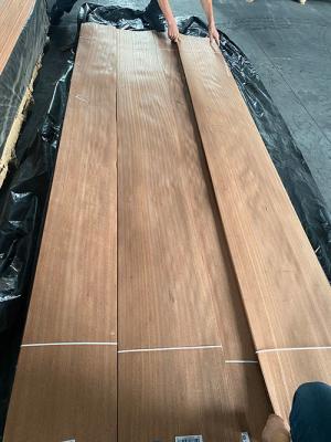 Cina Il legno esotico della fascia di bordo dell'impiallacciatura di Sapele impiallaccia la lunghezza dell'umidità 120cm di 8% in vendita
