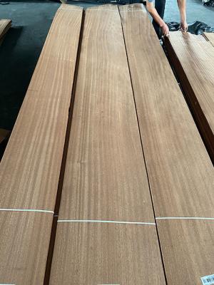Cina l'impiallacciatura di legno esotica Sapele Sapeli di 250cm impiallaccia sopra legno solido in vendita
