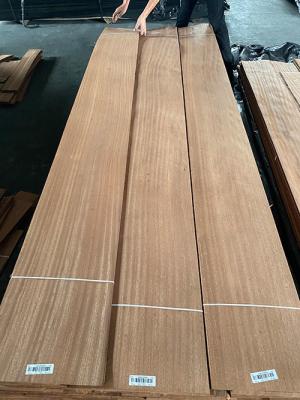 Cina l'impiallacciatura di legno esotica Sapele Sapeli di 250cm impiallaccia sopra legno solido in vendita