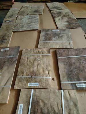 Cina Fetta/spessore tagliato rotatorio di Burl Veneer With Sap 0.50MM della noce in vendita