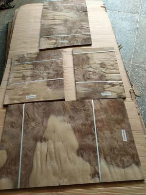 Cina Fetta/spessore tagliato rotatorio di Burl Veneer With Sap 0.50MM della noce in vendita