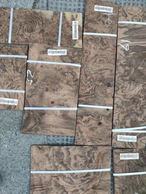 Cina Spessore di Burl Wood 0.50mm della noce nera dell'umidità di 12% in vendita